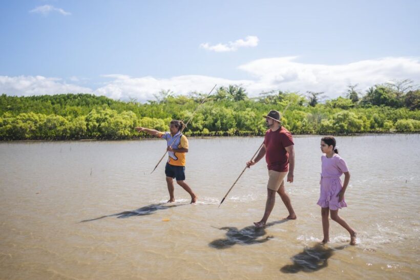 Port Douglas: Daintree Cultural Tour with Hotel Pickup - Introduction: An Authentic Taste of Daintree and Indigenous Culture