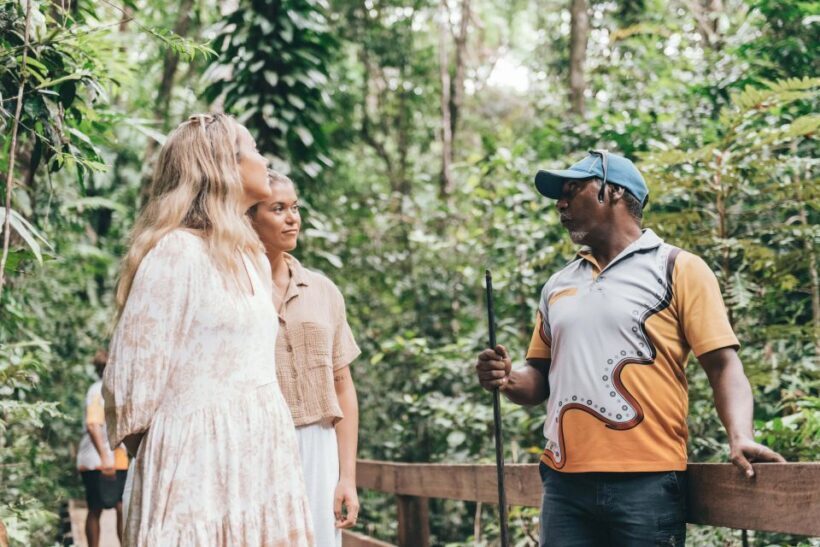 Port Douglas: Daintree Cultural Tour with Hotel Pickup - Why This Tour Fits Certain Travelers Best
