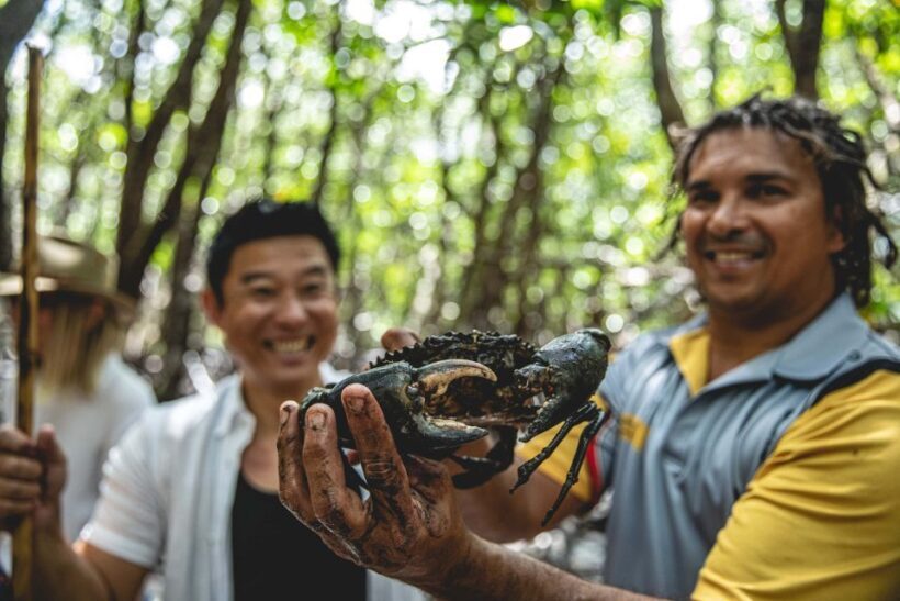 Port Douglas: Daintree Cultural Tour with Hotel Pickup - Final Thoughts