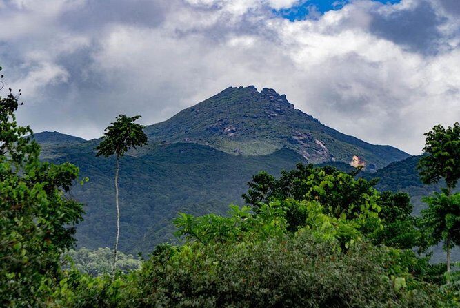 Port Douglas Daintree National Park Boutique Full-Day Tour - Key Points