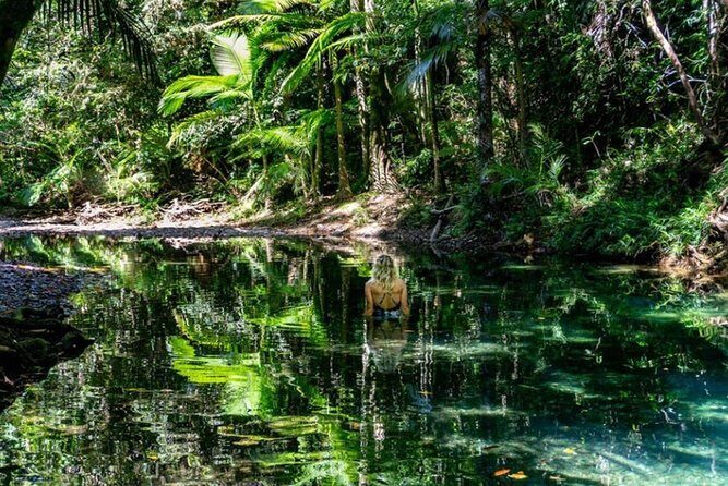 Port Douglas Daintree National Park Boutique Full-Day Tour - Analyzing the Value