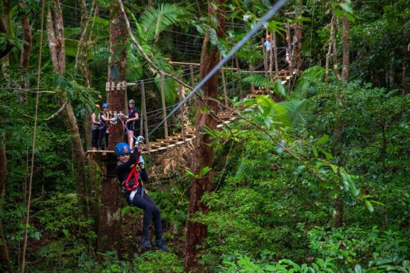 Port Douglas: Daintree National Park Tour, Cruise, & Zipline - A Closer Look at the Itinerary
