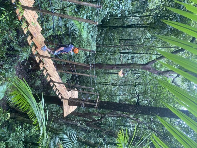 Port Douglas: Daintree National Park Tour, Cruise, & Zipline - Final Thoughts