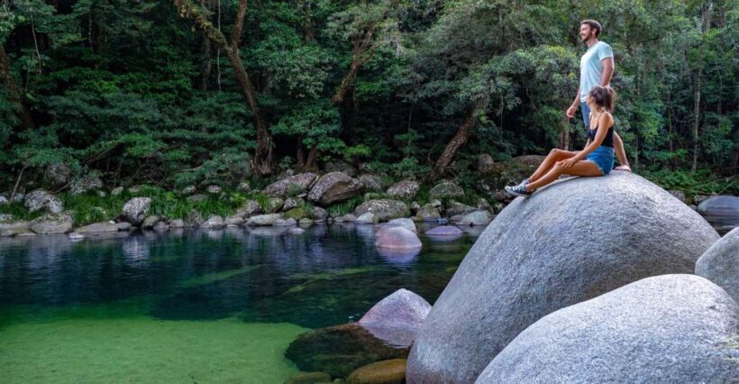 Port Douglas: Daintree Rainforest and Cape Tribulation Tour - Key Points