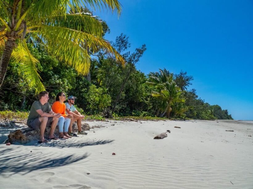 Port Douglas: Daintree Rainforest and Cape Tribulation Tour - Final Thoughts