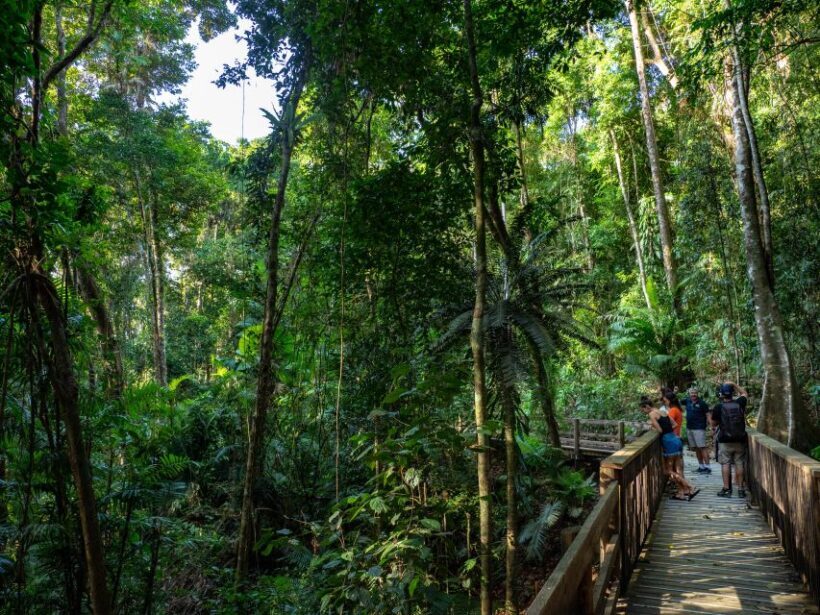 Port Douglas: Daintree Rainforest and Cape Tribulation Tour - FAQs