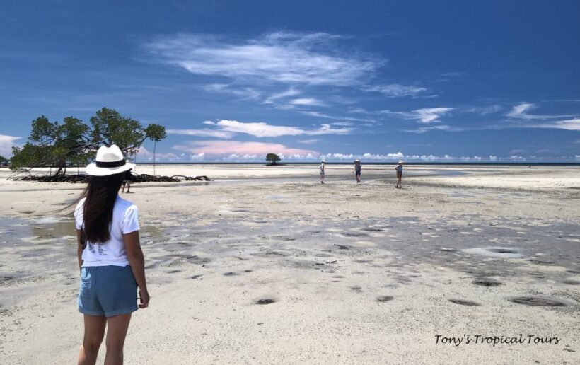 Port Douglas: Daintree Rainforest and Mossman Gorge Tour - The Food and Refreshments