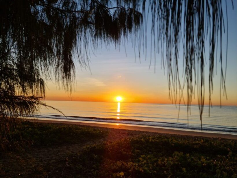 Port Douglas: Daintree Rainforest and Mossman Gorge Tour - Final Words