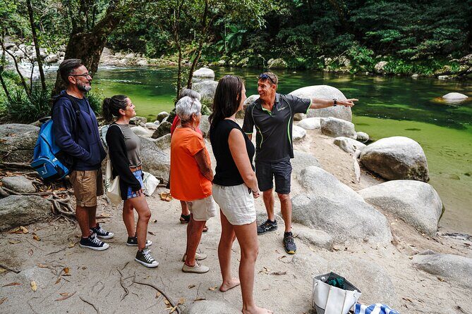 Port Douglas & Daintree Tour for Cruise Ship Passenger - An In-Depth Look at the Tour