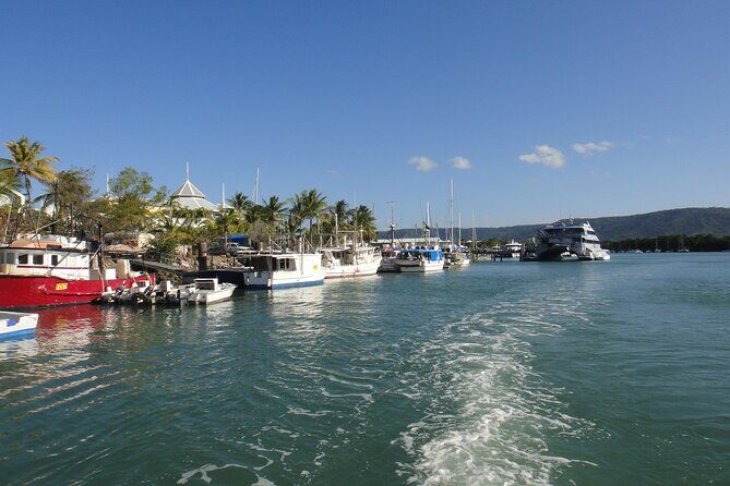 Port Douglas Day Tour from Cairns - Discovering the Best of Port Douglas: An In-Depth Review