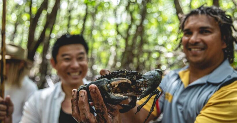 Port Douglas: Full Day Daintree Cultural Tour with Lunch - An Introduction to the Tour