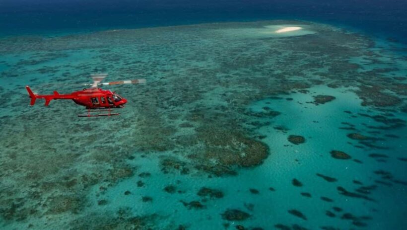 Port Douglas: Great Barrier Reef 45-Minute Helicopter Flight - The Flight Itself: What to Expect