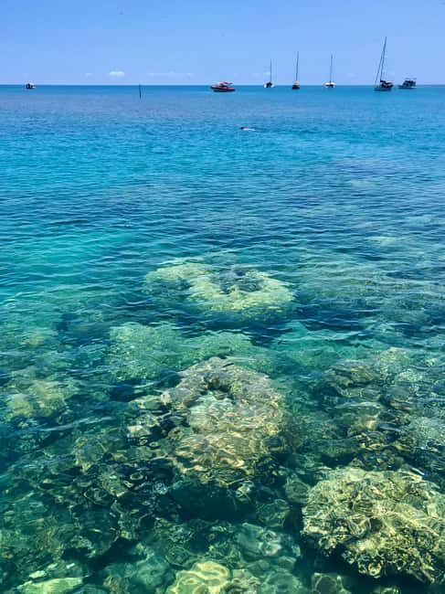 Port Douglas: Half-Day Low Island and Lagoon Snorkeling Tour - An Authentic Reef Experience in a Compact Package
