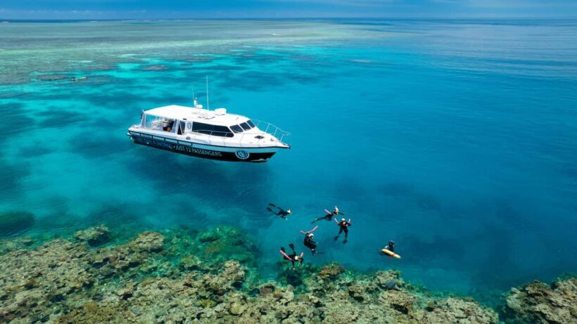Port Douglas: Just 12 Passengers Guided Snorkel Reef Cruise - Introduction: A Personal Look at a Unique Reef Experience