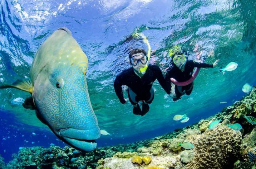 Port Douglas: Just 12 Passengers Guided Snorkel Reef Cruise - The Practicalities