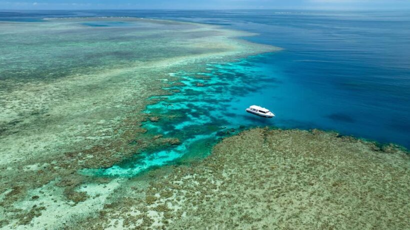Port Douglas: Just 12 Passengers Guided Snorkel Reef Cruise - The Sum Up: Is This Tour Right for You?