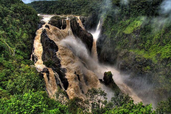Port Douglas: Kuranda tour with Skyrail or Scenic Train - Practical Tips for Travelers