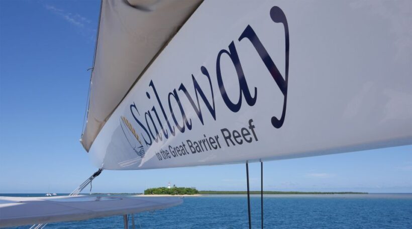 Port Douglas: Low Isles Afternoon Cruise on Luxury Catamaran - Key Points
