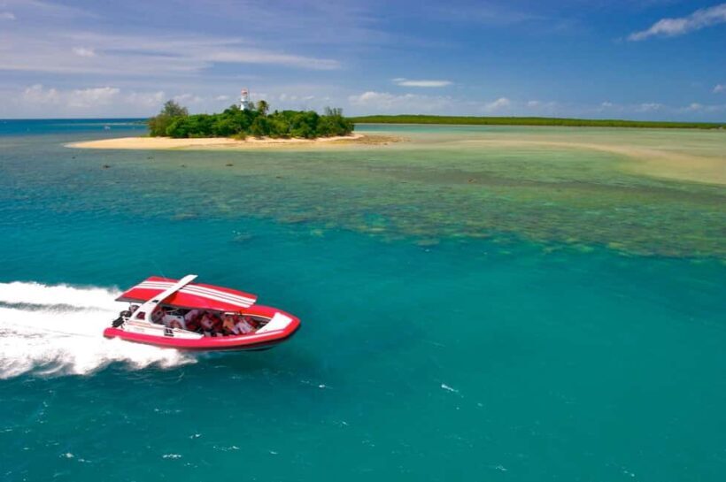 Port Douglas: Low Isles Reef Snorkeling Tour - An in-depth look at the Low Isles Reef Snorkeling Tour