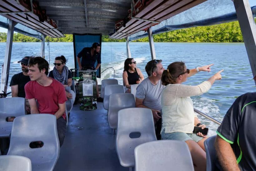 Port Douglas: Morning Daintree Tour w/ Wildlife Cruise - Who Will Love This Tour?