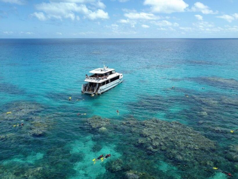Port Douglas: Outer Great Barrier Reef Snorkeling Cruise - Practical Tips for Your Reef Day