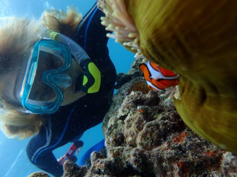 Port Douglas: Outer Great Barrier Reef Snorkeling Cruise - Frequently Asked Questions