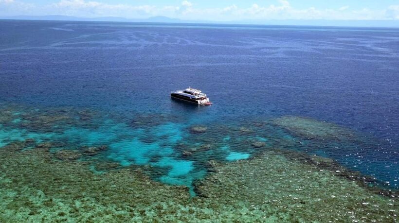 Port Douglas: Premium Outer Reef Dive Trip - An Introduction to the Outer Reef Dive Trip from Port Douglas