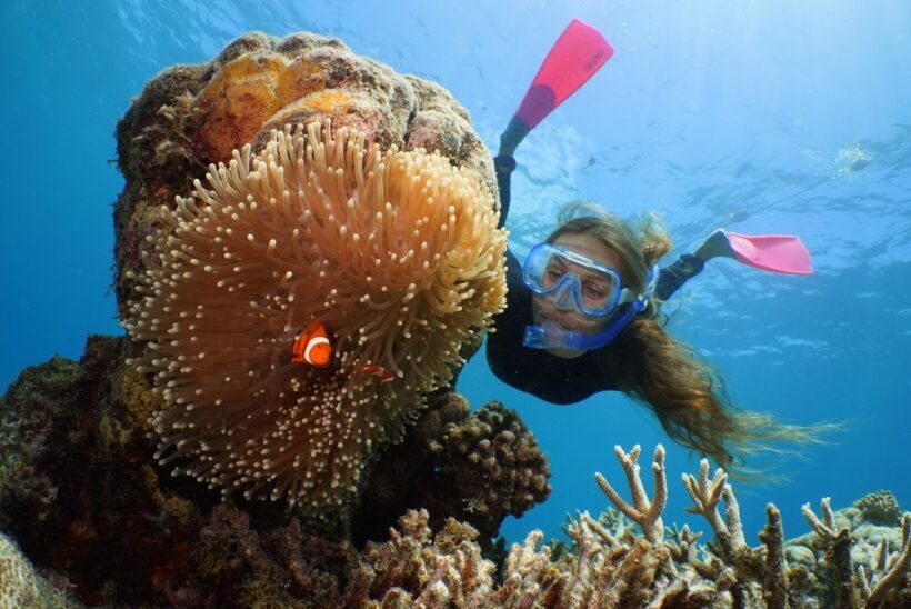 Port Douglas: Quicksilver Outer Barrier Reef Full-Day Cruise - The Journey Begins: Check-In and Departure