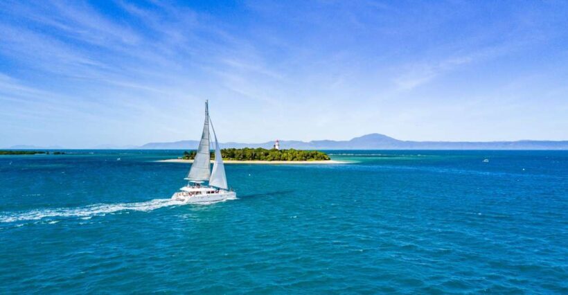 Port Douglas: Reef & Low Isles Cruise on Luxury Catamaran - An Introduction to this Reef & Low Isles Experience