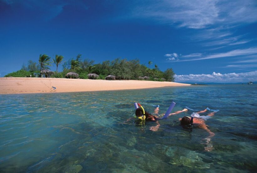 Port Douglas: Reef & Low Isles Cruise on Luxury Catamaran - A Detailed Look at the Itinerary