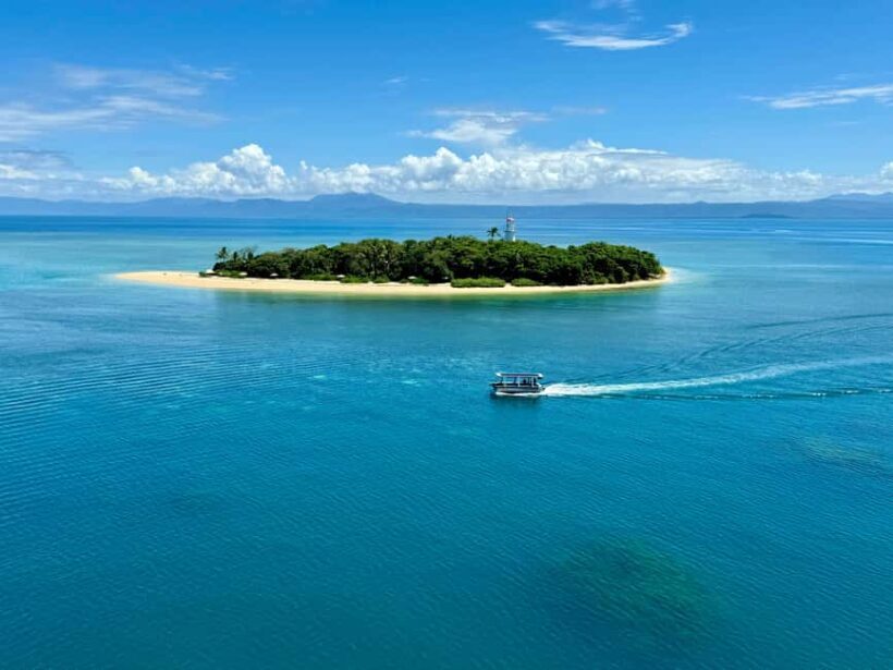 Port Douglas: Reef & Low Isles Cruise on Luxury Catamaran - The Sum Up