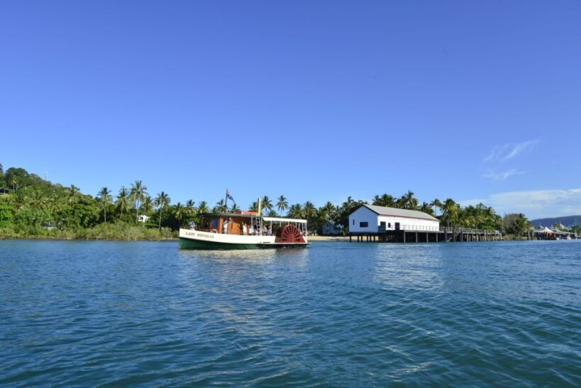 Port Douglas: River Cruise, Crocodile Spotting, Drink/ Snack - Who Will Love This Tour?