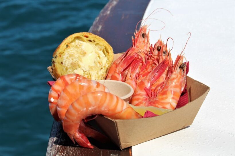 Port Douglas: Shaolin Seafood Lunch Sail, with Fresh Prawns - Key Points