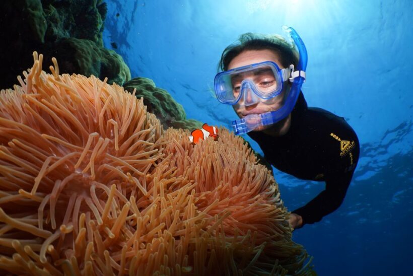 Port Douglas: Silversonic Great Barrier Reef Dive & Snorkel - Practical Tips for Your Reef Adventure