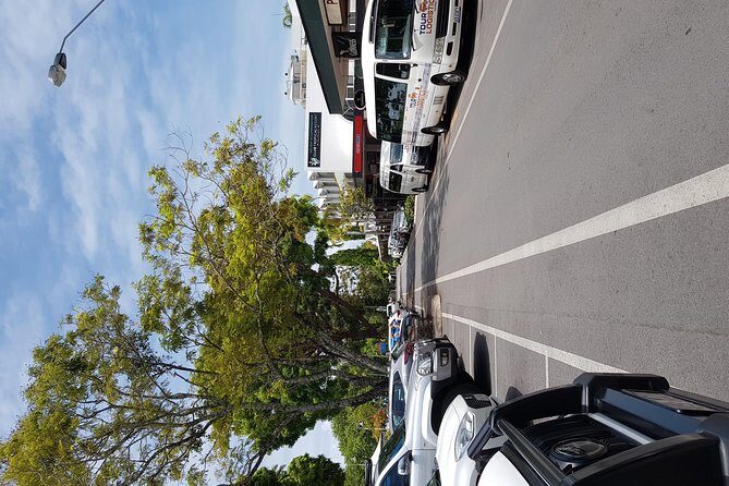 Port Douglas Sunday Markets Day Tour - In The Sum Up