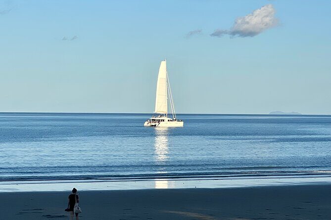Port Douglas To Cairns Airport Shared Shuttle - Key Points