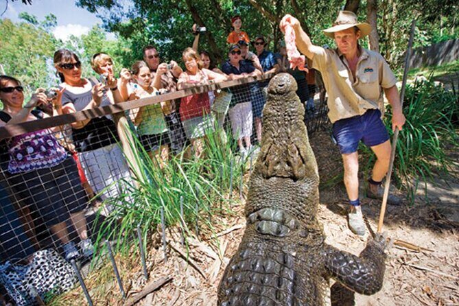 Port Douglas To Cairns Airport Shared Shuttle - Flexibility and Cancellations