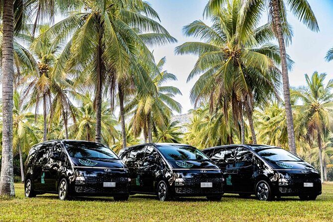 Port Douglas To Cairns Airport Shared Shuttle - Authentic Experiences and Real Traveler Feedback
