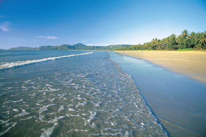Port Douglas to Cairns ONE WAY Private Transfer 6 pax - The Value of a Private Transfer