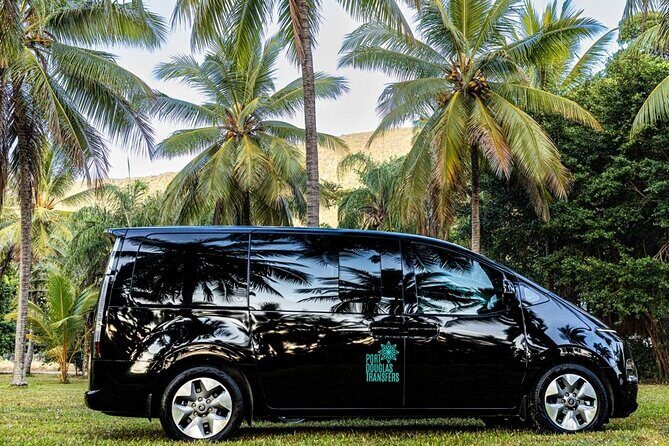 Port Douglas to Palm Cove ONE WAY Private Transfer 6 Pax - What to Expect from the Transfer Service