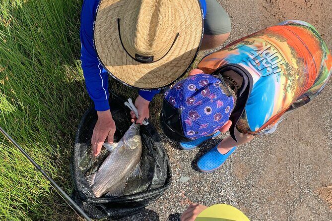 Port Douglas Tour Hook-A-Barra with Lunch - The Sum Up: Who Will Love This Tour?