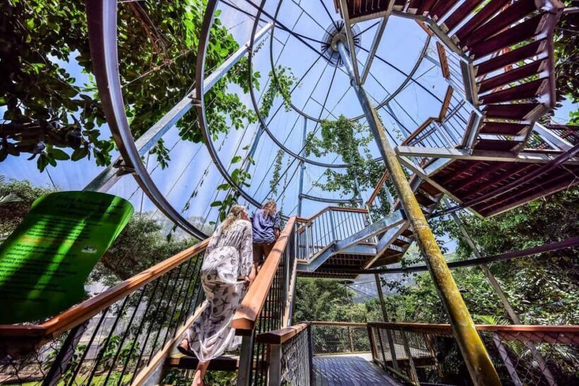 Port Douglas: Wildlife Habitat Entrance Ticket - The Layout and Environments