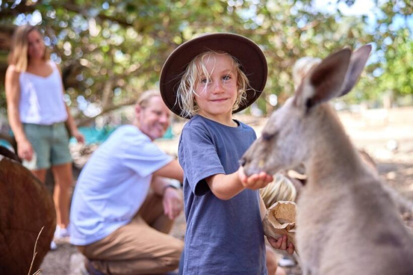Port Douglas: Wildlife Habitat Entrance Ticket - Location and Accessibility