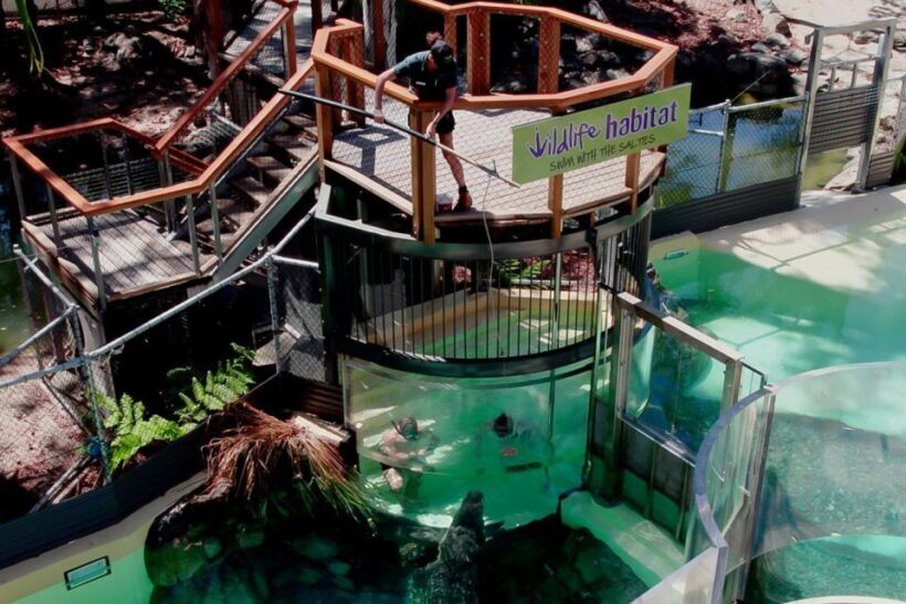 Port Douglas: Wildlife Habitat Swim with Crocodiles - Key Points