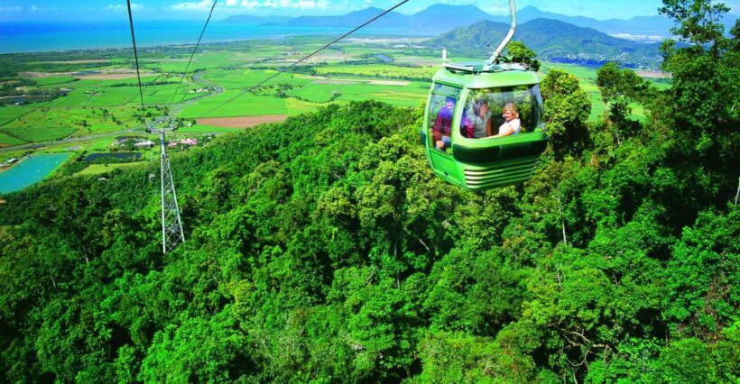 Port Douglas: World Heritage Forest by Skyrail & Scenic Rail - Key Points