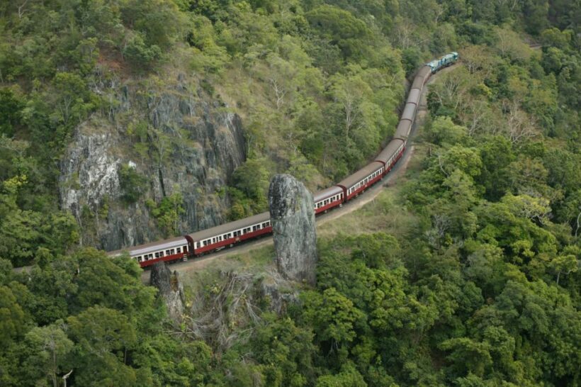 Port Douglas: World Heritage Forest by Skyrail & Scenic Rail - An In-Depth Look at the Tour Experience