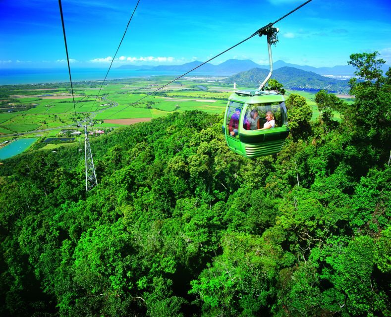 Port Douglas: World Heritage Forest by Skyrail & Scenic Rail - Weighing the Pros and Cons: A Balanced View