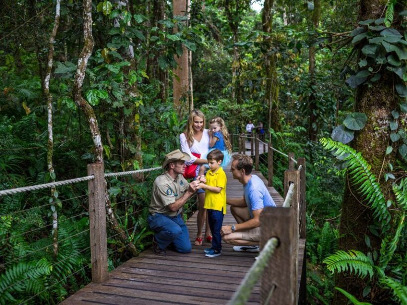 Port Douglas: World Heritage Forest by Skyrail & Scenic Rail - Who Should Consider This Tour