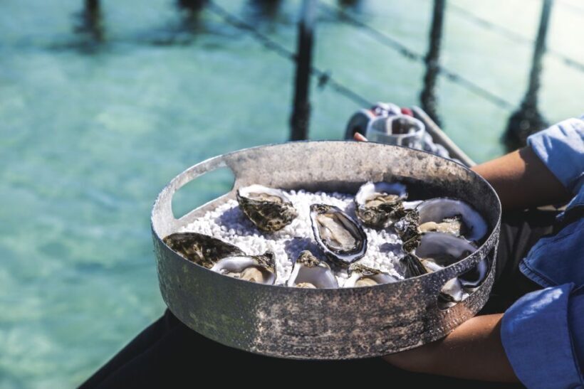 Port Lincoln: Coffin Bay Seafood, Wine, and Nature Day Trip - Who Will Enjoy This Tour?