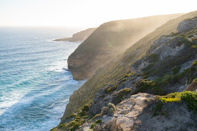 Port Lincoln Full-day Exploration Tour - A Detailed Look at the Port Lincoln Full-day Exploration Tour